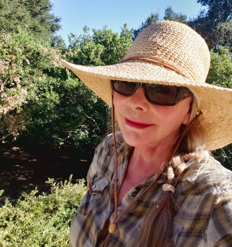 About – Mrs Shecky